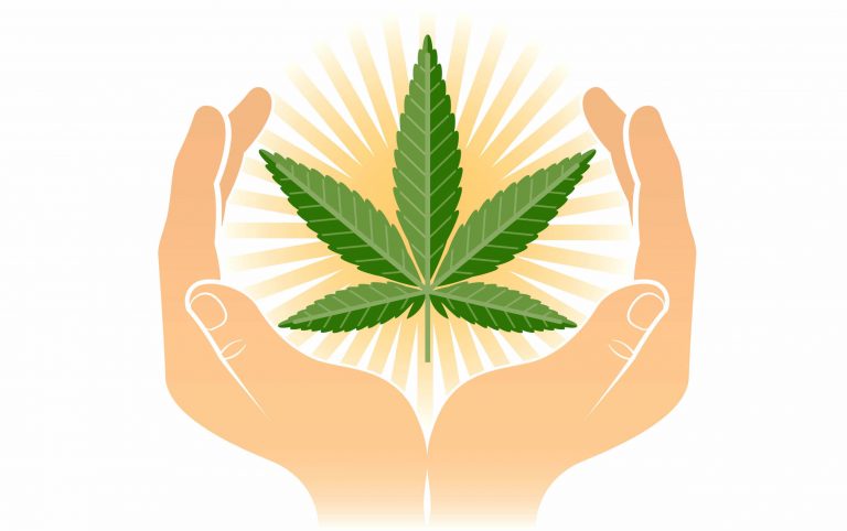 Plantea Experto: La Marihuana Medicinal es una Contradicción > Red Digital